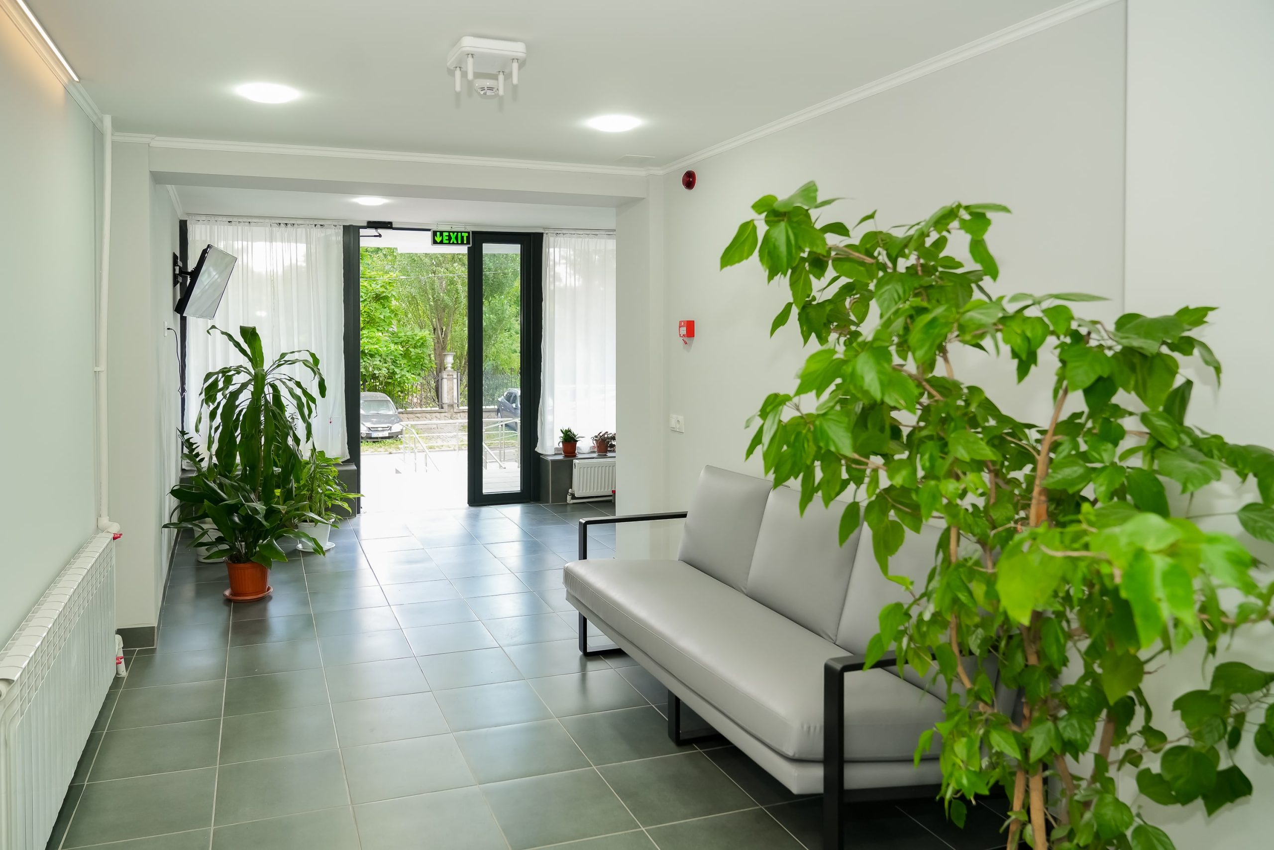 UPSC continuă renovările – UPSC – Universitatea Pedagogică de Stat "ION ...